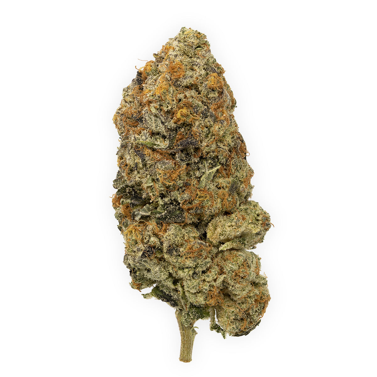 Slurricane Herbal Dispatch Slurricane Herbal Dispatch
